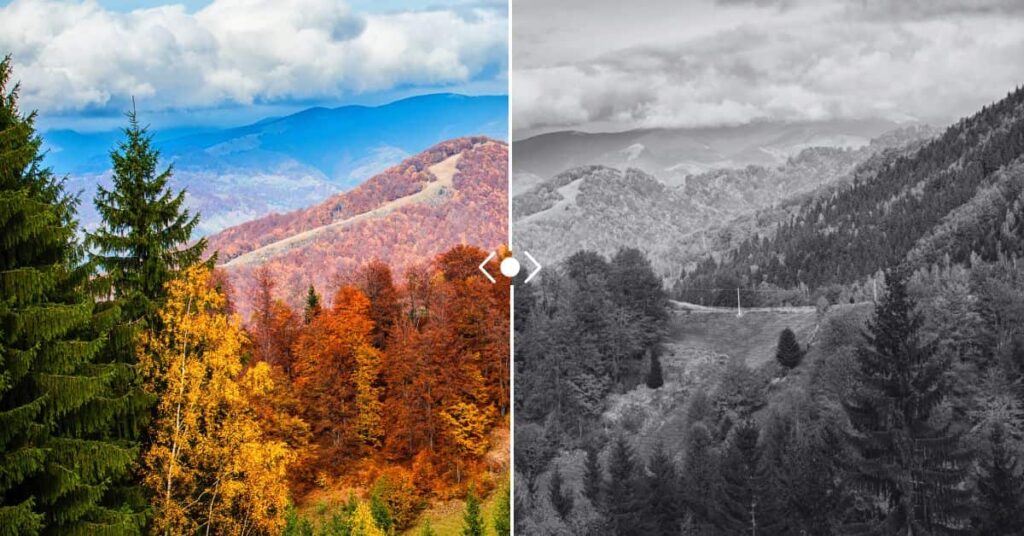 WP Before After Image Slider Review - Code Canel