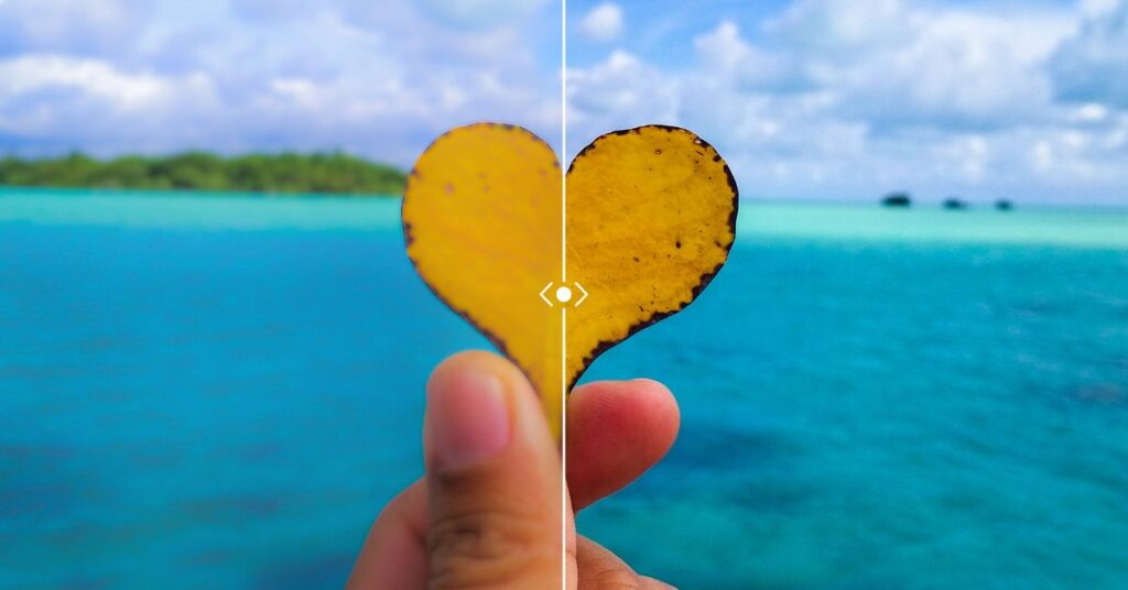 WP Before After Image Plugin - Code Canel