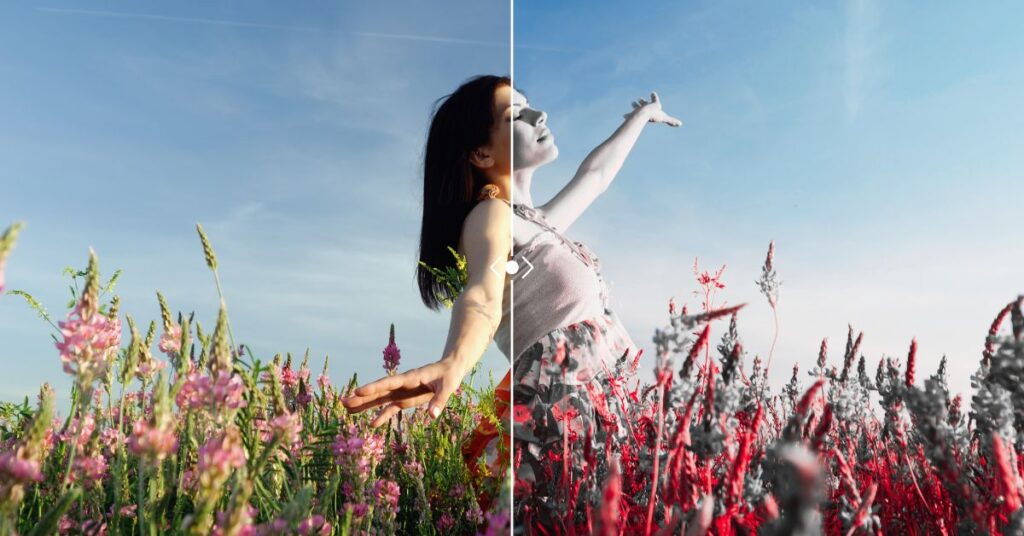 WP Photo Comparison Reveal Gallery